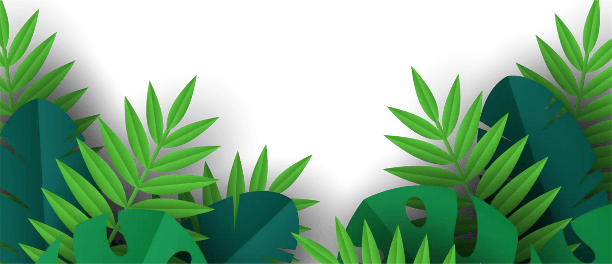 OG 88 - The Original Community Meme on W Chain